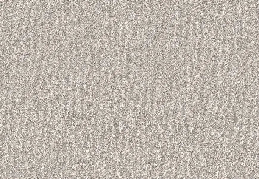 Echo Core Carpet Clearwell | Caseys Furniture